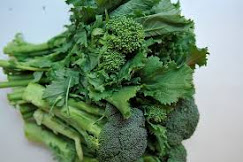 Broccoli, Raab - A+ Garden Center | Duluth, Minnesota | Plants, Trees ...