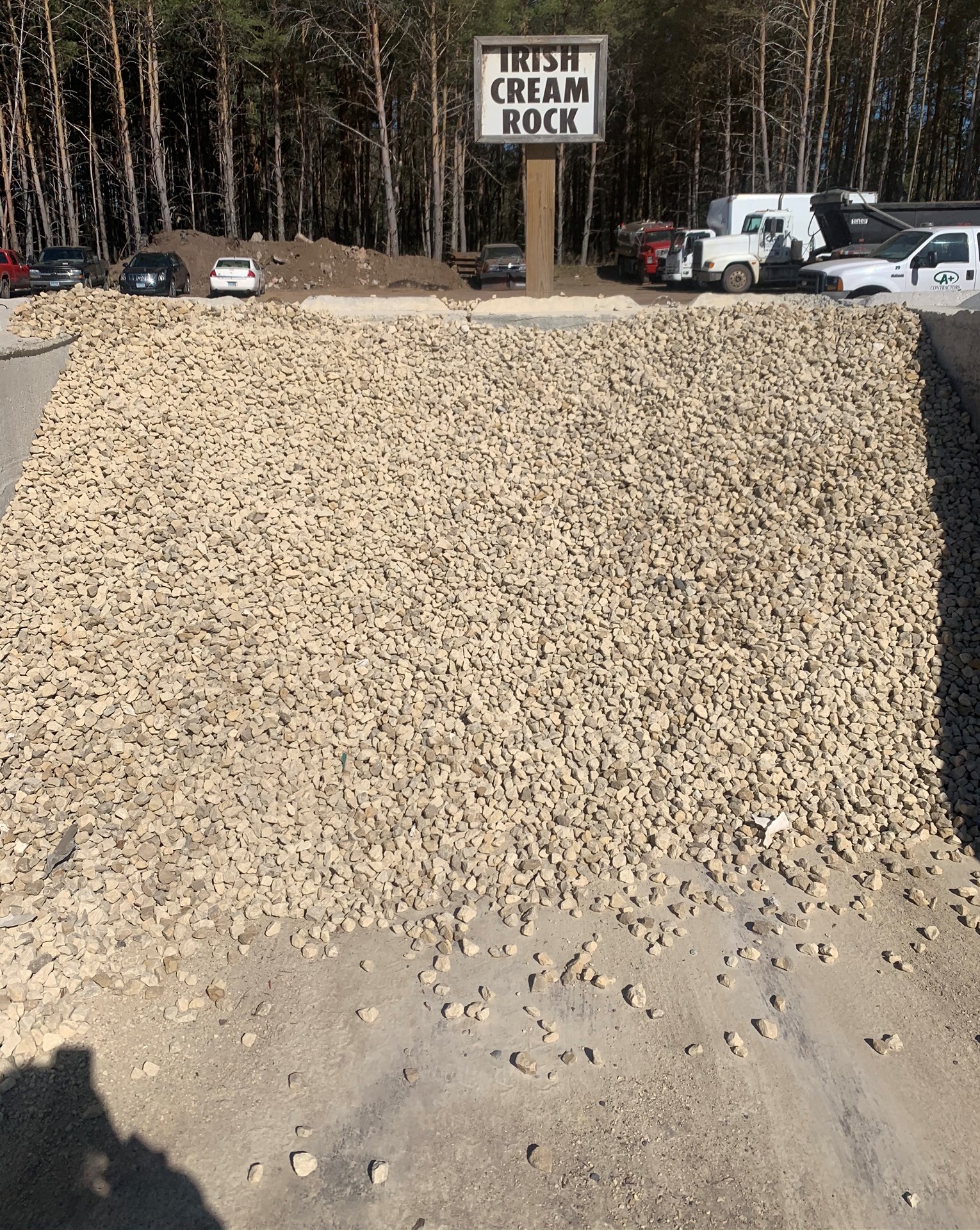 Irish Cream Rock – A+ Garden Center | Duluth, Minnesota | Plants, Trees ...