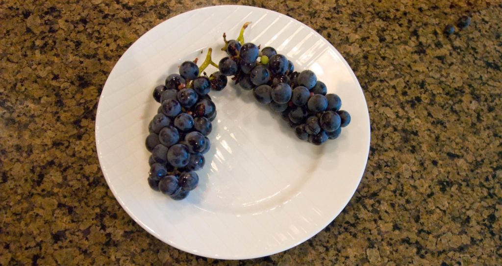 Grape, Valiant - A+ Garden Center | Duluth, Minnesota | Plants, Trees ...