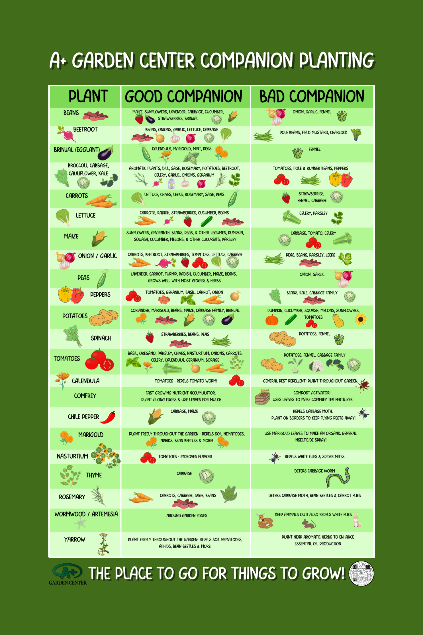 COMPANION PLANTING AND PLANT SPACING CHART - A+ Garden Center | Duluth ...