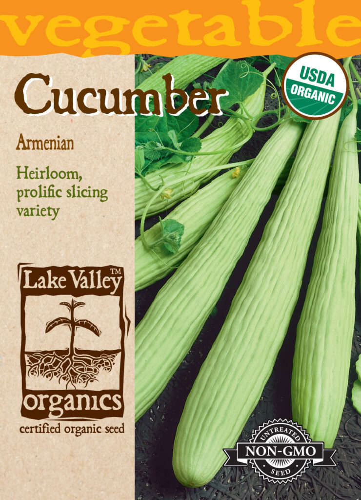 Cucumber, Armenian Organic - A+ Garden Center | Duluth, Minnesota ...
