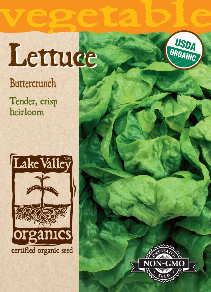 Lettuce, Buttercrunch Organic - A+ Garden Center | Duluth, Minnesota ...