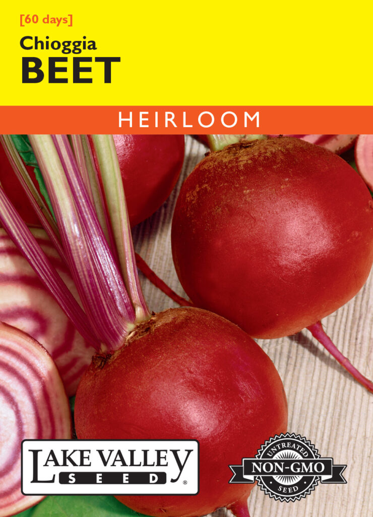 Beet, Chioggia - A+ Garden Center | Duluth, Minnesota | Plants, Trees ...