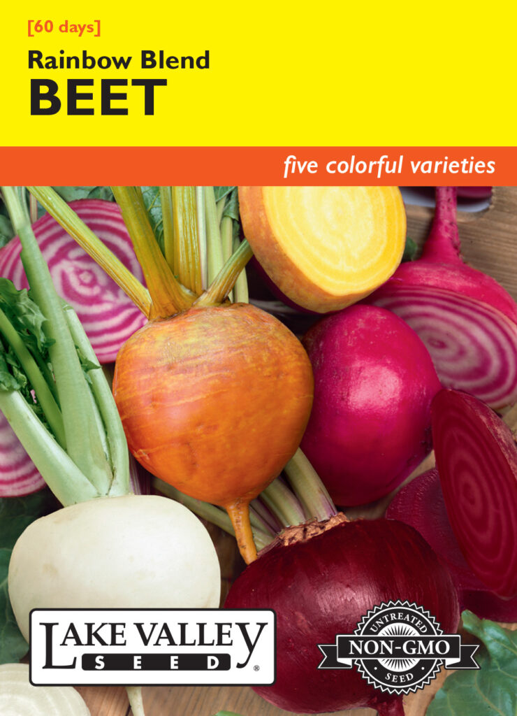 Beet, Rainbow Blend - A+ Garden Center | Duluth, Minnesota | Plants ...