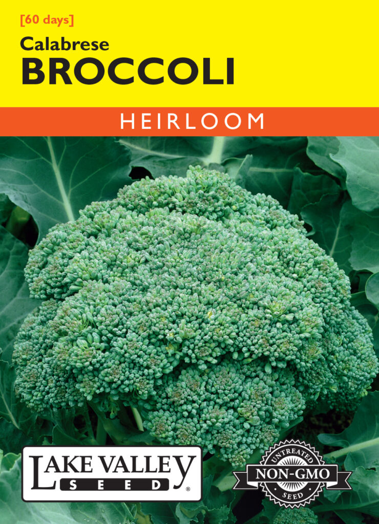 Broccoli, Calabrese - A+ Garden Center | Duluth, Minnesota | Plants ...