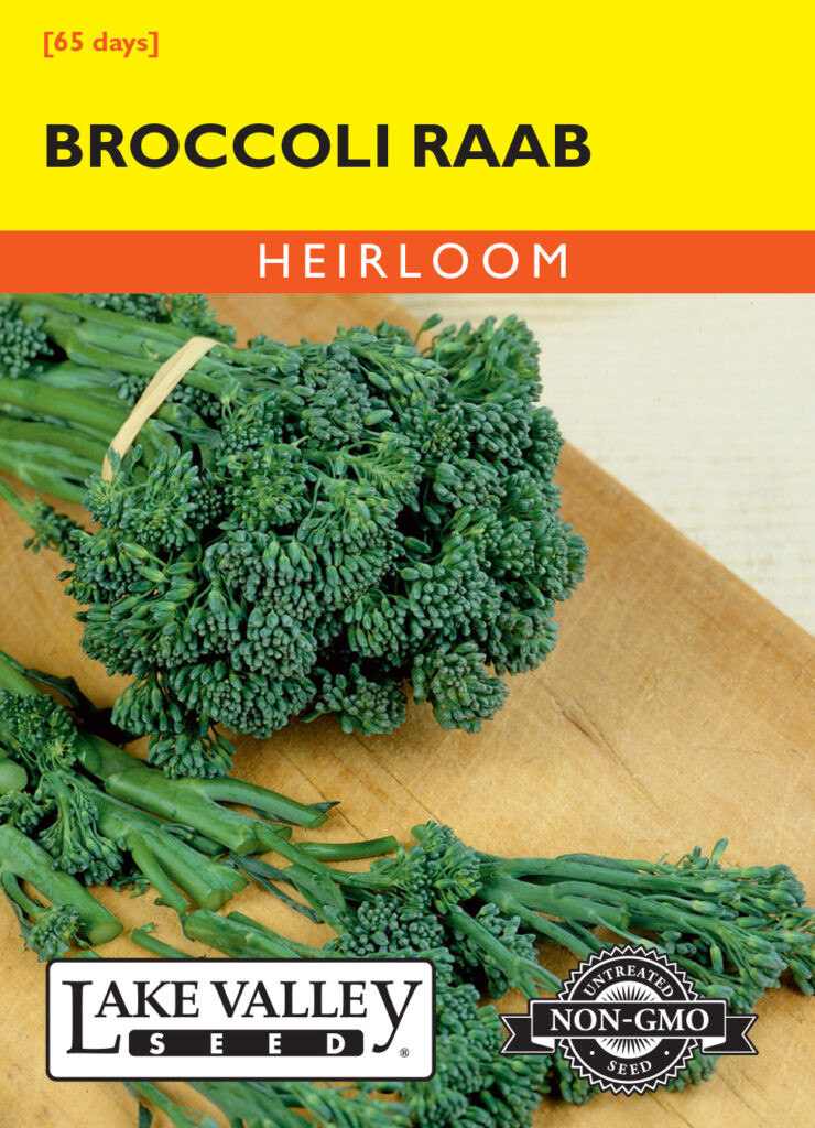 Broccoli, Raab Spring (Rapini) - A+ Garden Center | Duluth, Minnesota ...