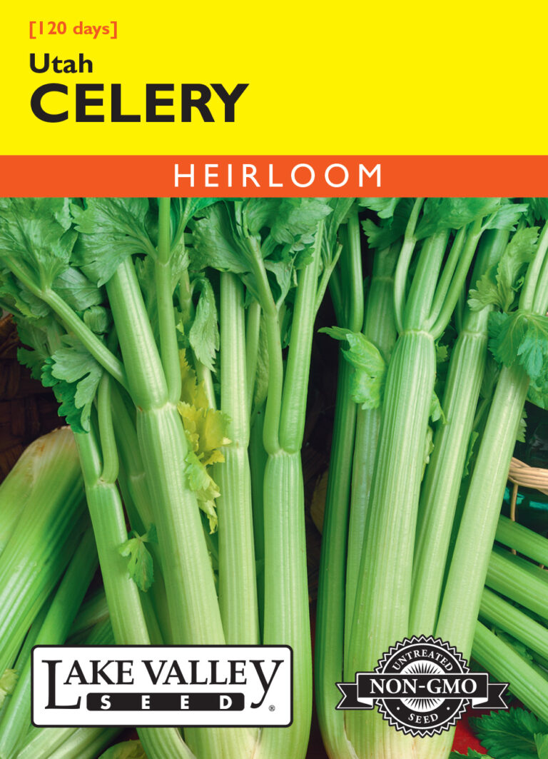 Celery, Utah - A+ Garden Center | Duluth, Minnesota | Plants, Trees ...