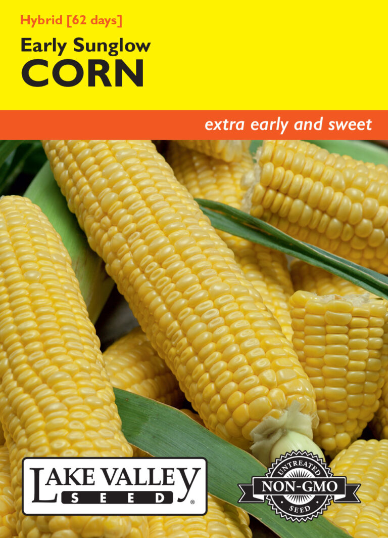 Corn, Early Sunglow - A+ Garden Center | Duluth, Minnesota | Plants ...