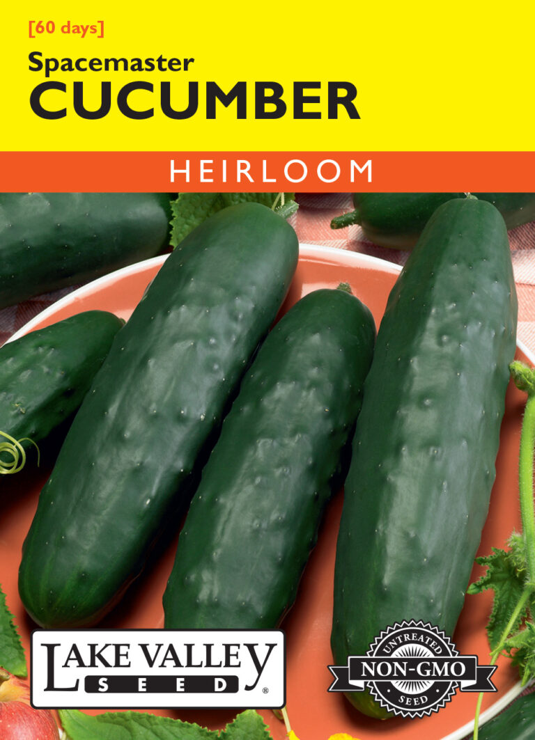 Cucumber, Spacemaster - A+ Garden Center | Duluth, Minnesota | Plants ...