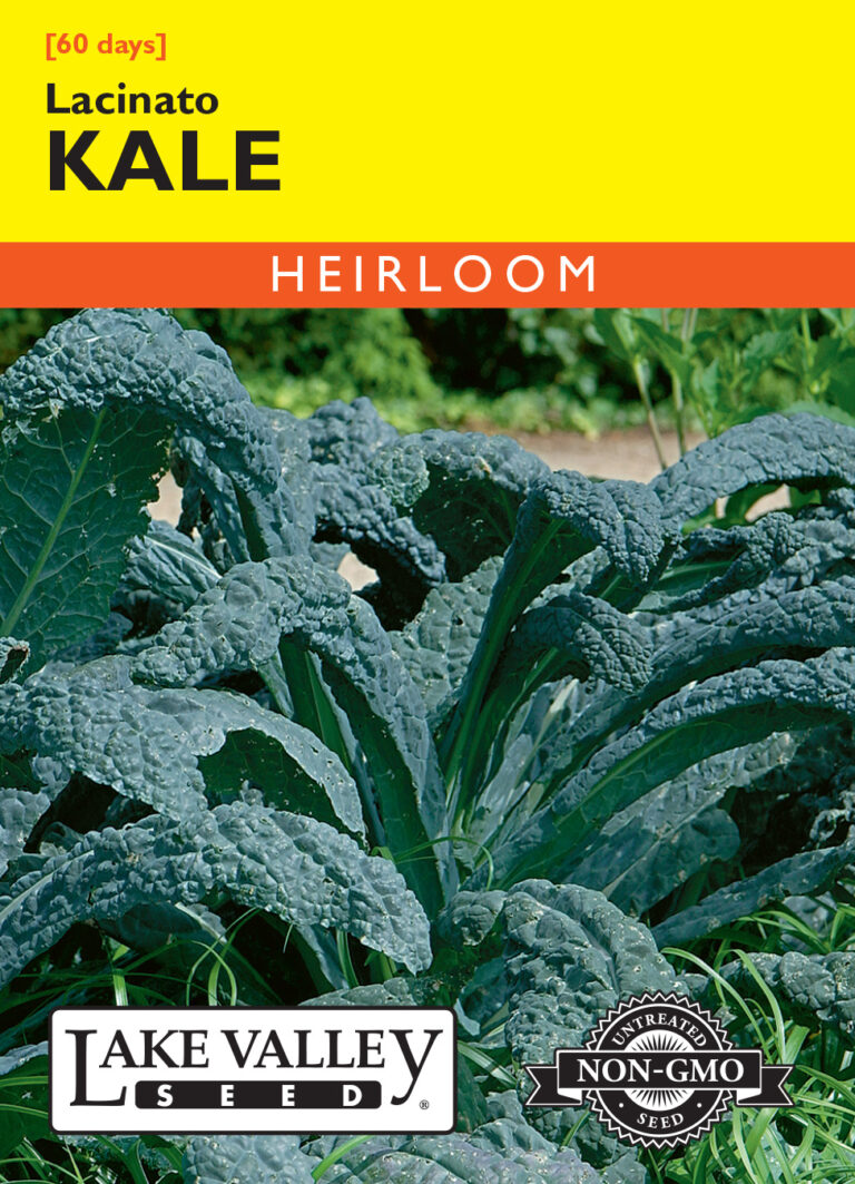 Kale, Lacinato - A+ Garden Center | Duluth, Minnesota | Plants, Trees ...