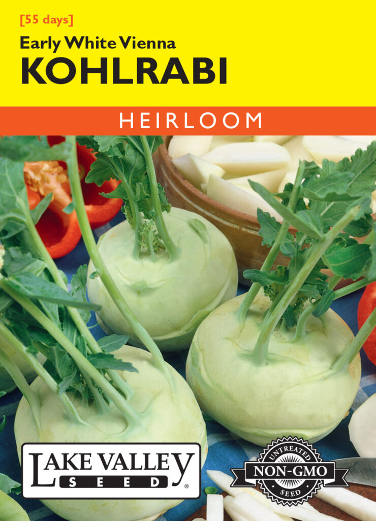 Kohlrabi, Early White Vienna - A+ Garden Center | Duluth, Minnesota ...