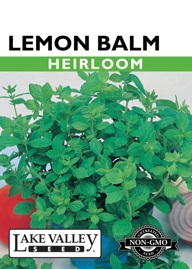 Lemon Balm, Heirloom - A+ Garden Center | Duluth, Minnesota | Plants ...