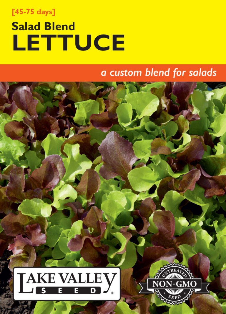 Lettuce, Salad Blend - A+ Garden Center | Duluth, Minnesota | Plants ...