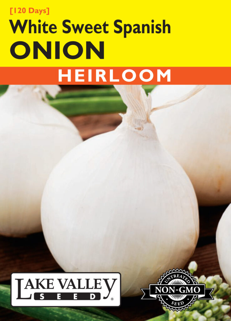 Onion, White Sweet Spanish (Long Day) - A+ Garden Center | Duluth ...