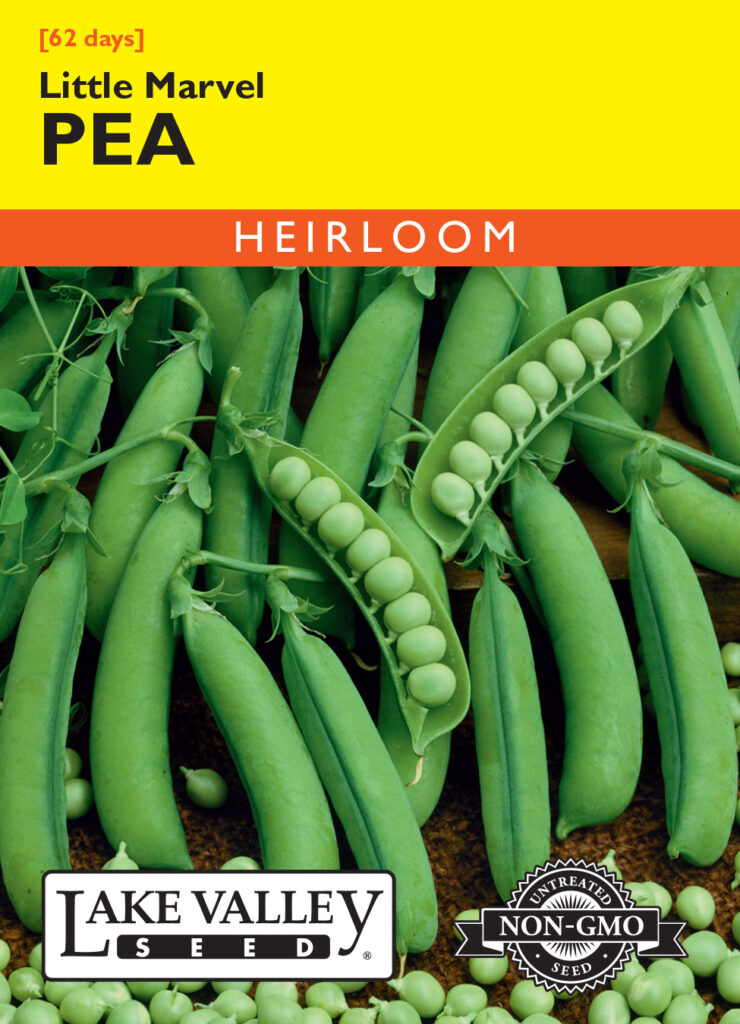 Pea, Little Marvel (Bush) - A+ Garden Center | Duluth, Minnesota ...
