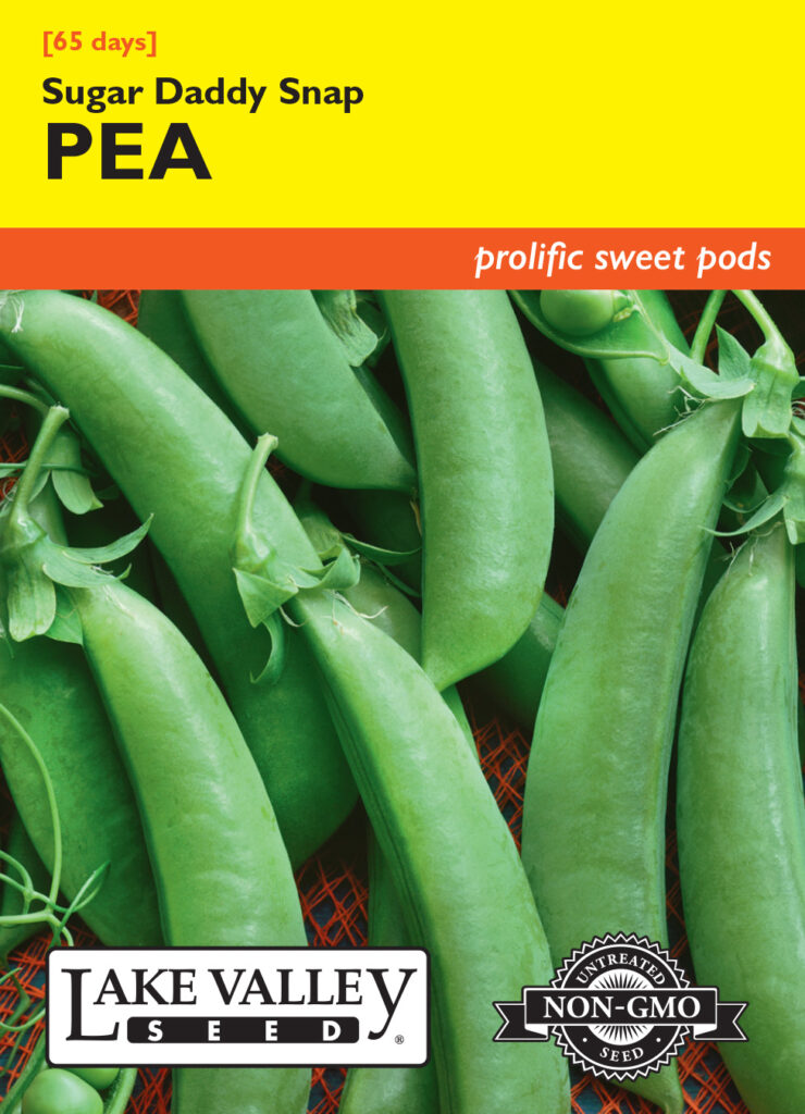 Pea, Sugar Daddy Snap (Bush) - A+ Garden Center | Duluth, Minnesota ...
