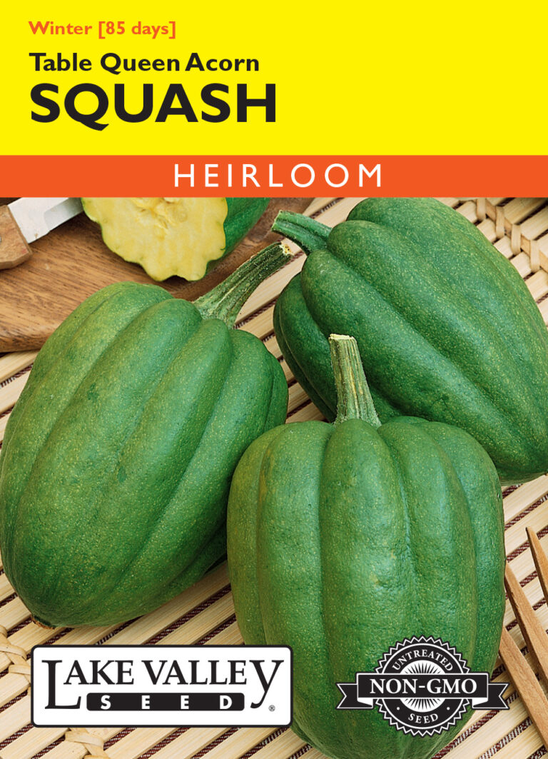 Squash, Table Queen Acorn - A+ Garden Center | Duluth, Minnesota ...