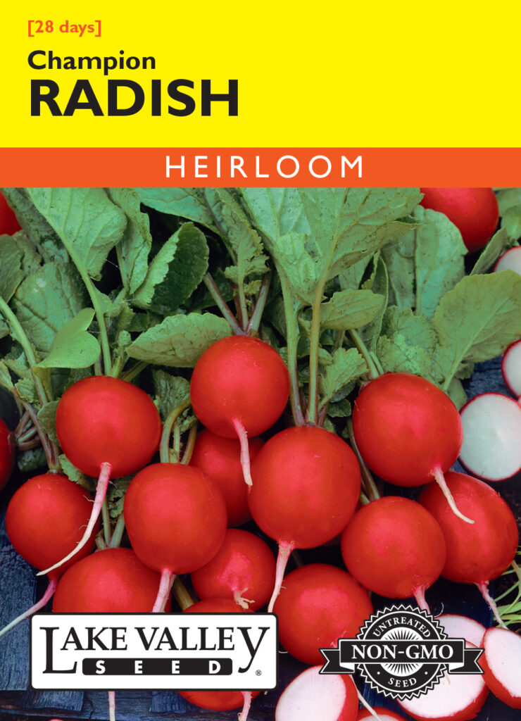Radish, Champion - A+ Garden Center | Duluth, Minnesota | Plants, Trees ...