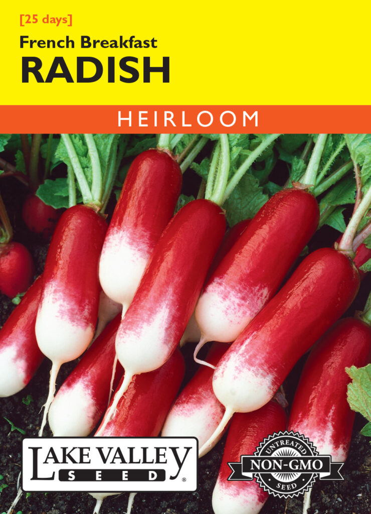 Radish, French Breakfast - A+ Garden Center | Duluth, Minnesota ...