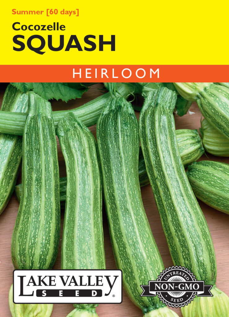 Squash, Cocozelle - A+ Garden Center | Duluth, Minnesota | Plants ...