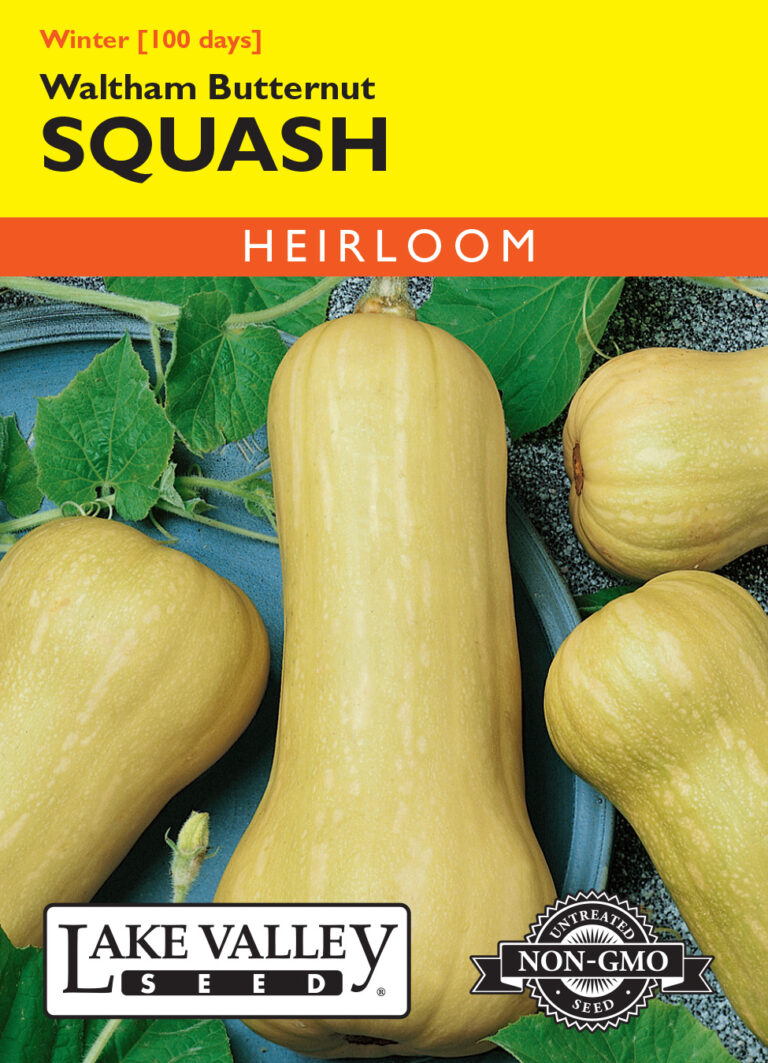 Squash, Waltham Butternut - A+ Garden Center | Duluth, Minnesota ...