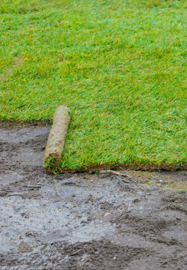 Grass Seed & Sod Calculator - A+ Garden Center | Duluth, Minnesota ...