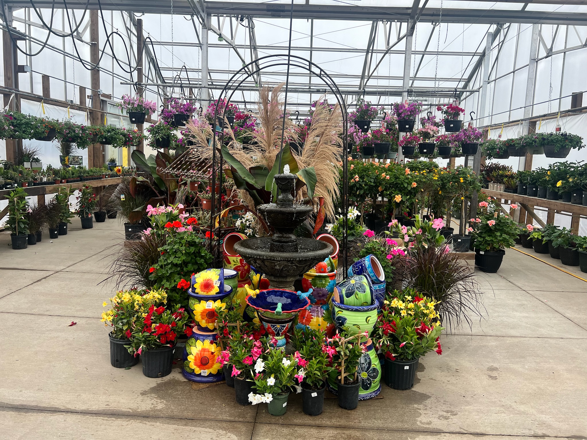 Home - A+ Garden Center | Duluth, Minnesota | Plants, Trees, Shrubs ...