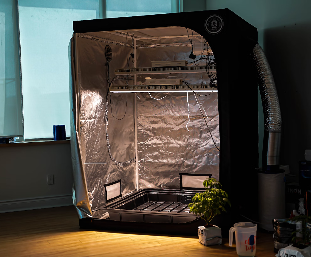 Setting Up Your Grow - A+ Garden Center | Duluth, Minnesota | Plants ...