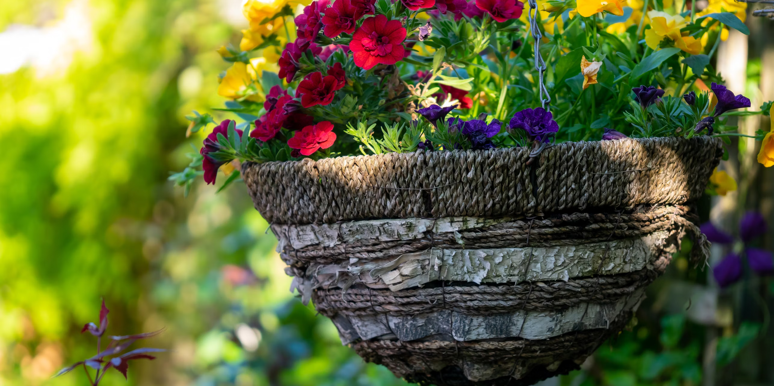 Hanging Basket Happiness - A+ Garden Center | Duluth, Minnesota ...