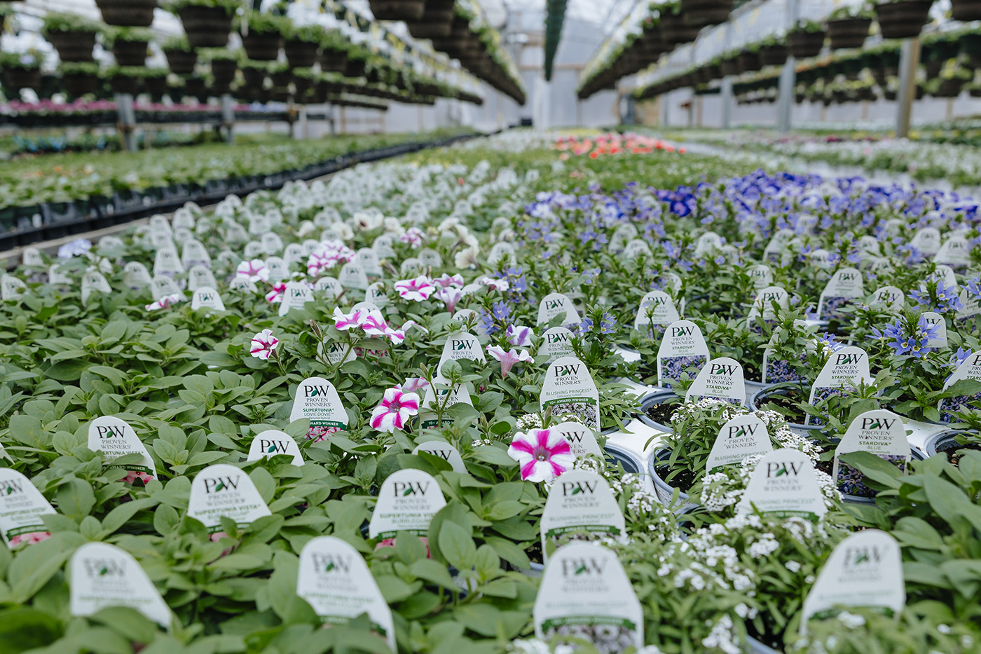Loyalty Rewards Program - A+ Garden Center | Duluth, Minnesota | Plants ...